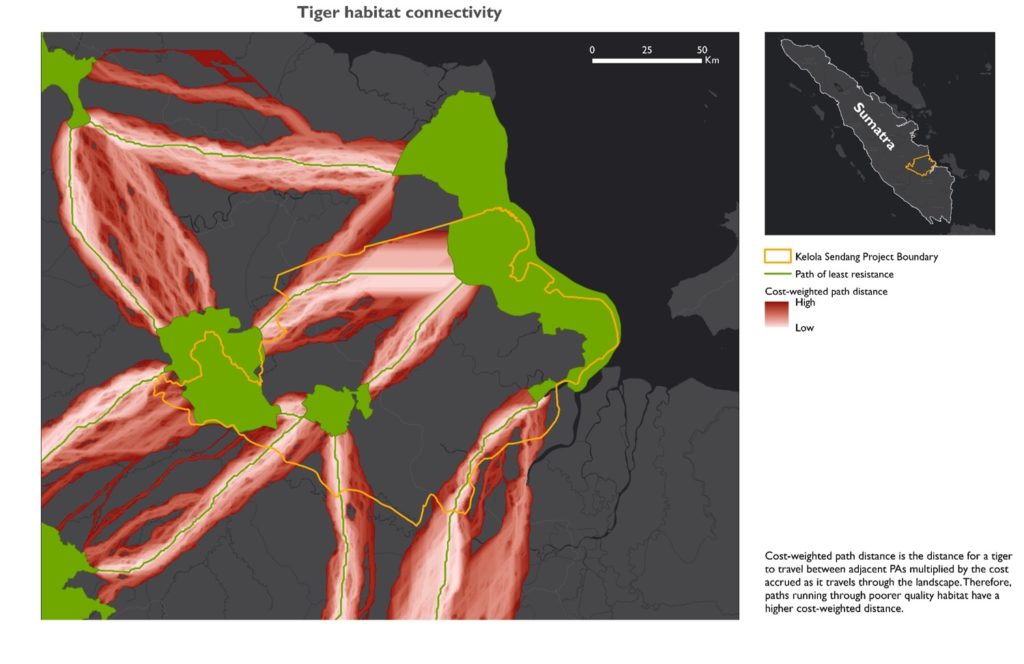 Connecting Tiger Territory in Sumatra - SPOTT.org | SPOTT.org