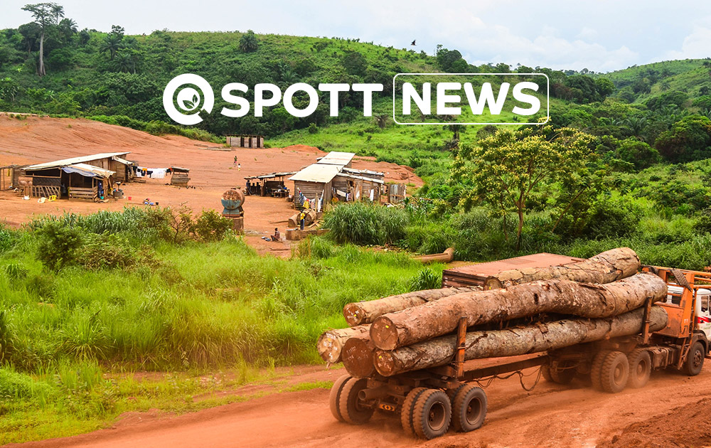 Congo Basin countries move toward a timber export ban - SPOTT.org ...
