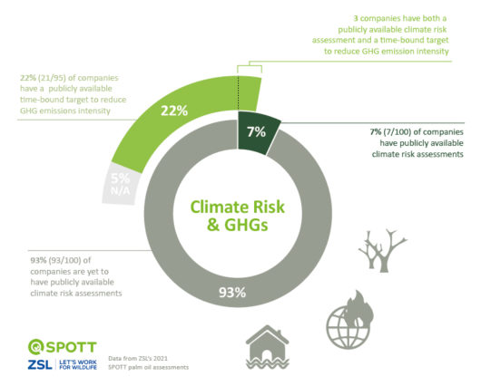 Palm oil industry unprepared for climate change - SPOTT.org | SPOTT.org