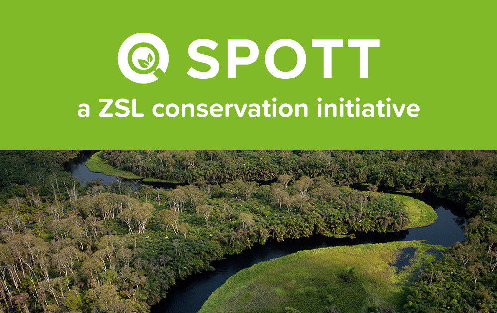 ZSL's Sustainable Business and Finance Team - SPOTT.org | SPOTT.org